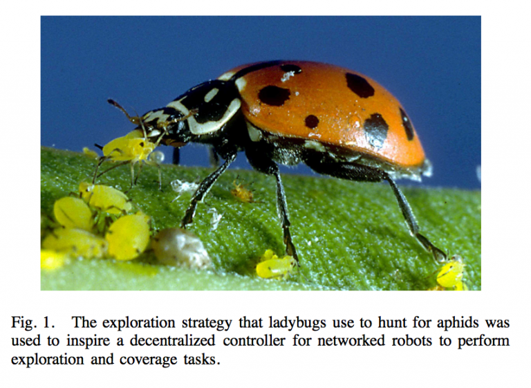 An Interview with Artist Adriana Ramic - Teeth Magazine