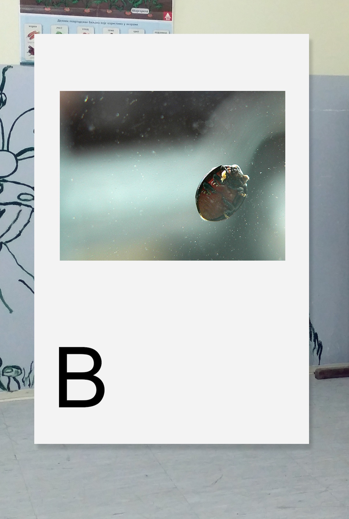 An Interview with Artist Adriana Ramic — Teeth Magazine