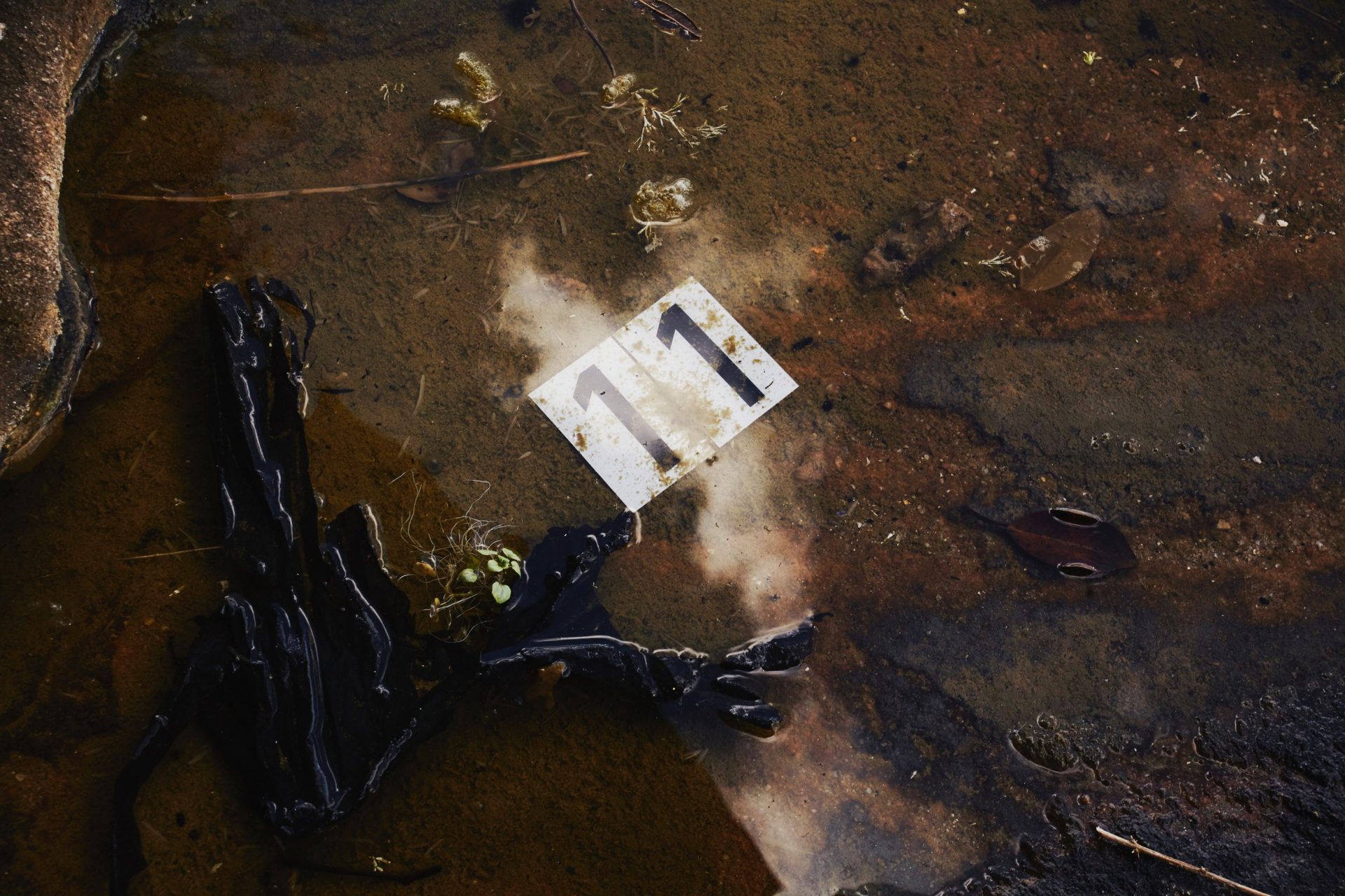 An Interview with Artist Adriana Ramic - Teeth Magazine