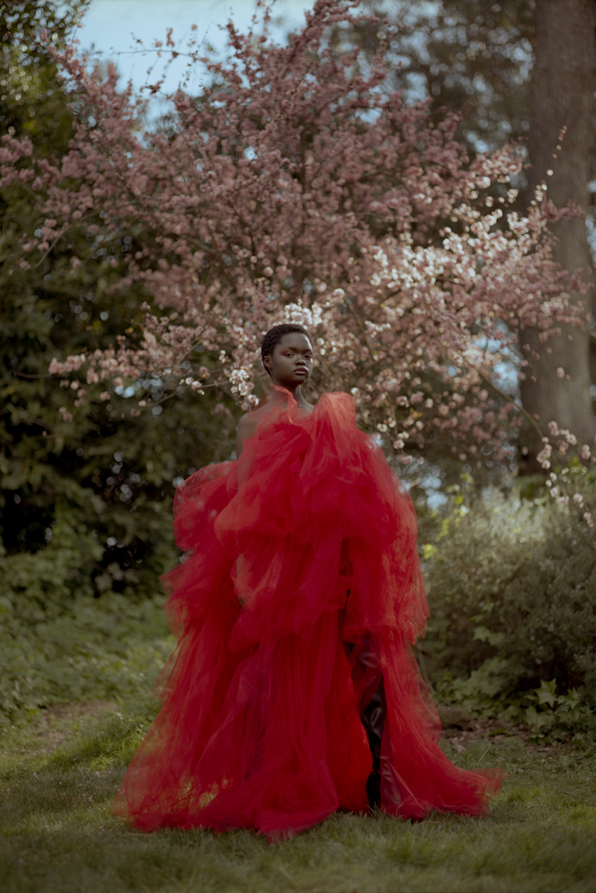Blossoms Lure — Teeth Magazine